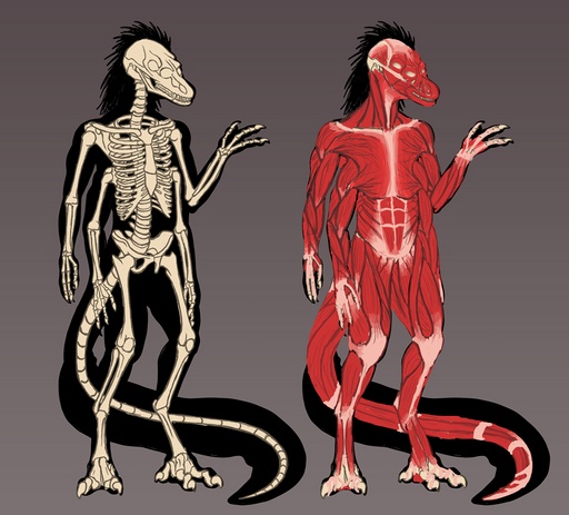 Raharrs:Anatomy - Leaving The Cradle Wiki